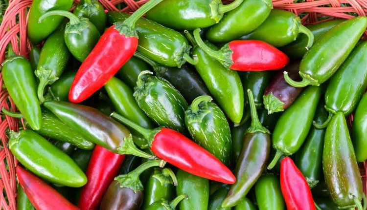 Hoe gezond zijn pepers? | Gezondheidsnet