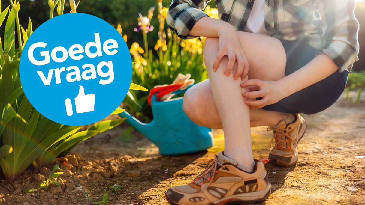 Waarom jeukt de ene muggenbult meer dan de andere? | Gezondheidsnet