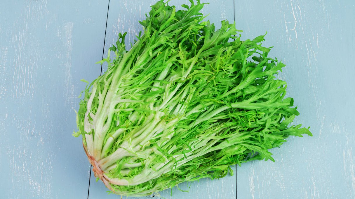 Andijvie: stoer, maar kwetsbaar | Gezondheidsnet