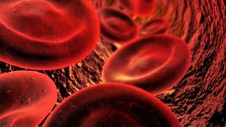 Ontstaan nieuwe bloedvaten ontdekt | Gezondheidsnet