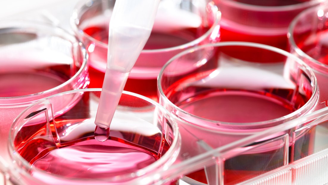 Wat zijn enzymen? | Gezondheidsnet