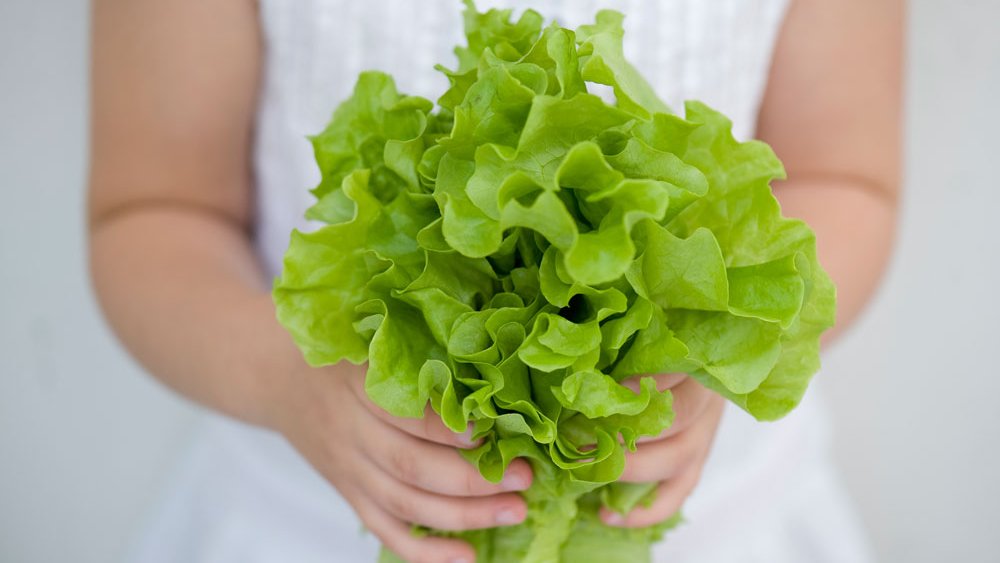 Mag je iedere dag sla eten? | Gezondheidsnet