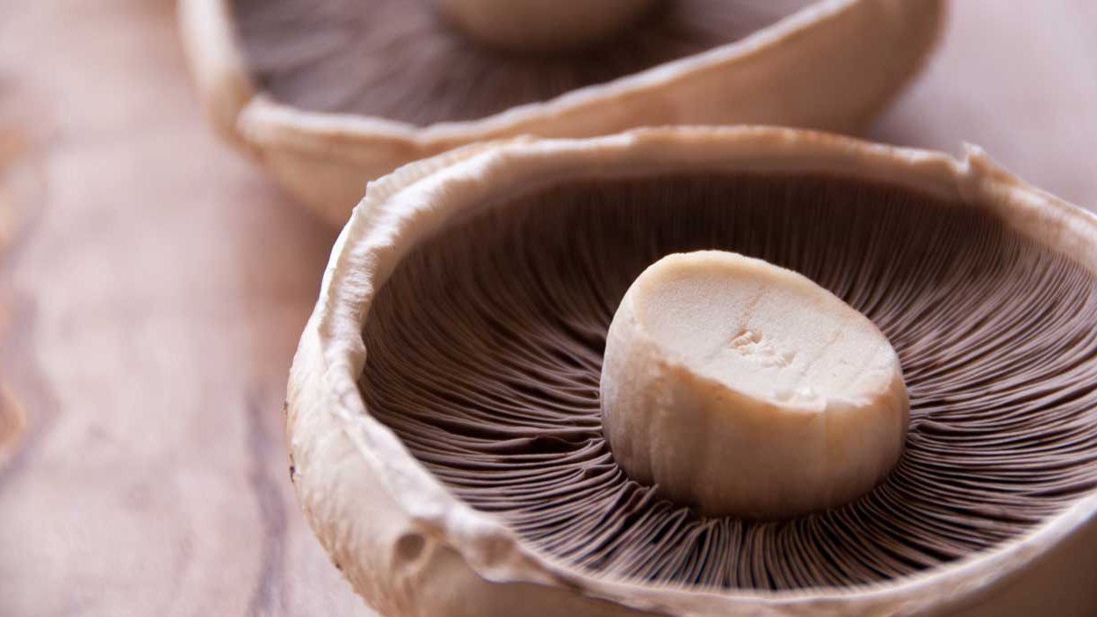 Portobello caprese | Gezondheidsnet