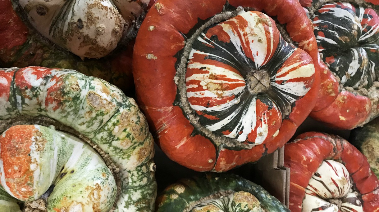 Zijn alle pompoenen eetbaar? | Gezondheidsnet